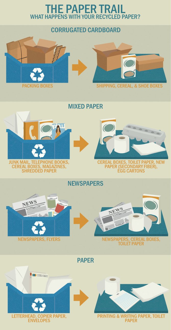All You Ever Wanted To Know About Recycling...And Then Some