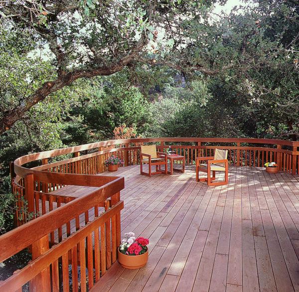 4 Surprising Redwood Facts: Understanding The Legendary Building Material
