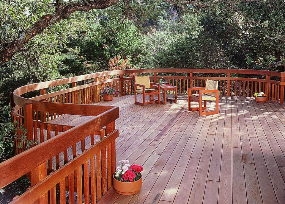 4 Surprising Redwood Facts: Understanding The Legendary Building Material