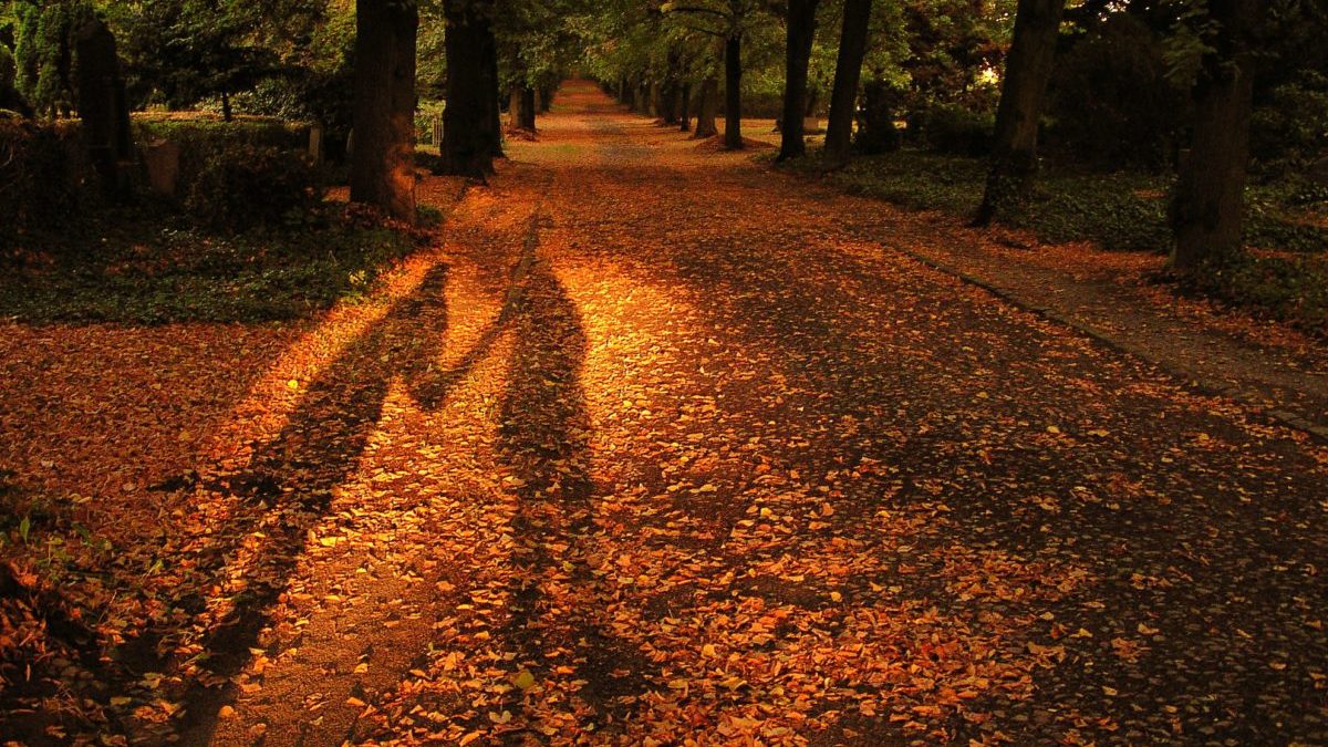 Nature's Medicine: The Health Benefits of Being Outdoors