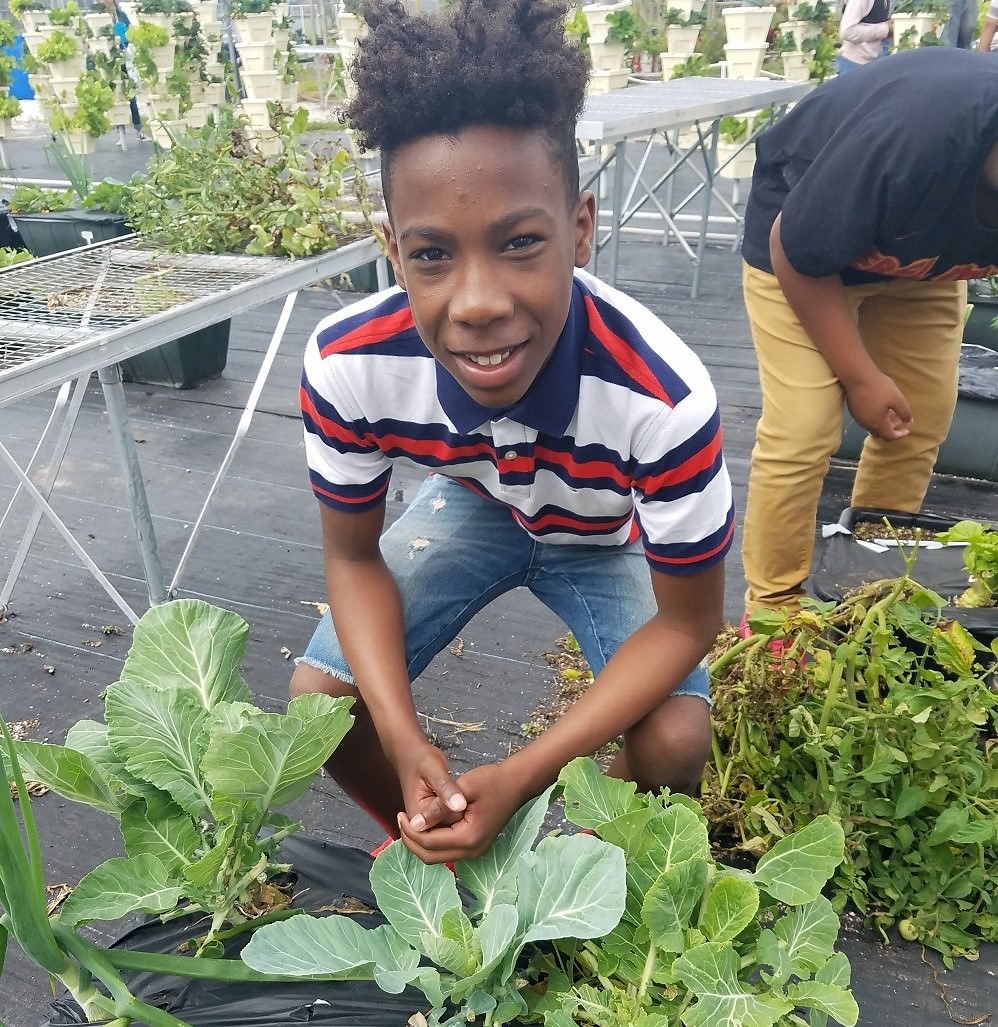 Seed Your Future: Career Opportunities Working With Plants - Earth911