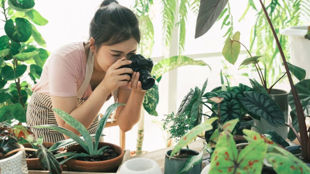 Growing Instagram-Famous Houseplants - Earth911
